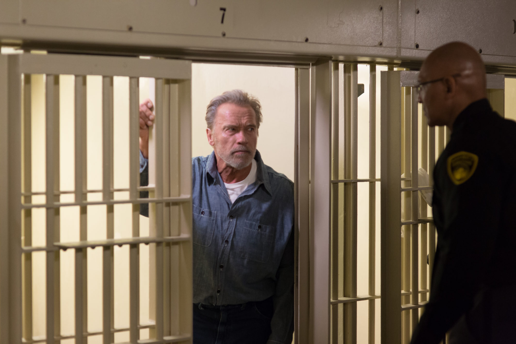 'Aftermath' further proves we are witnessing peak Schwarzenegger