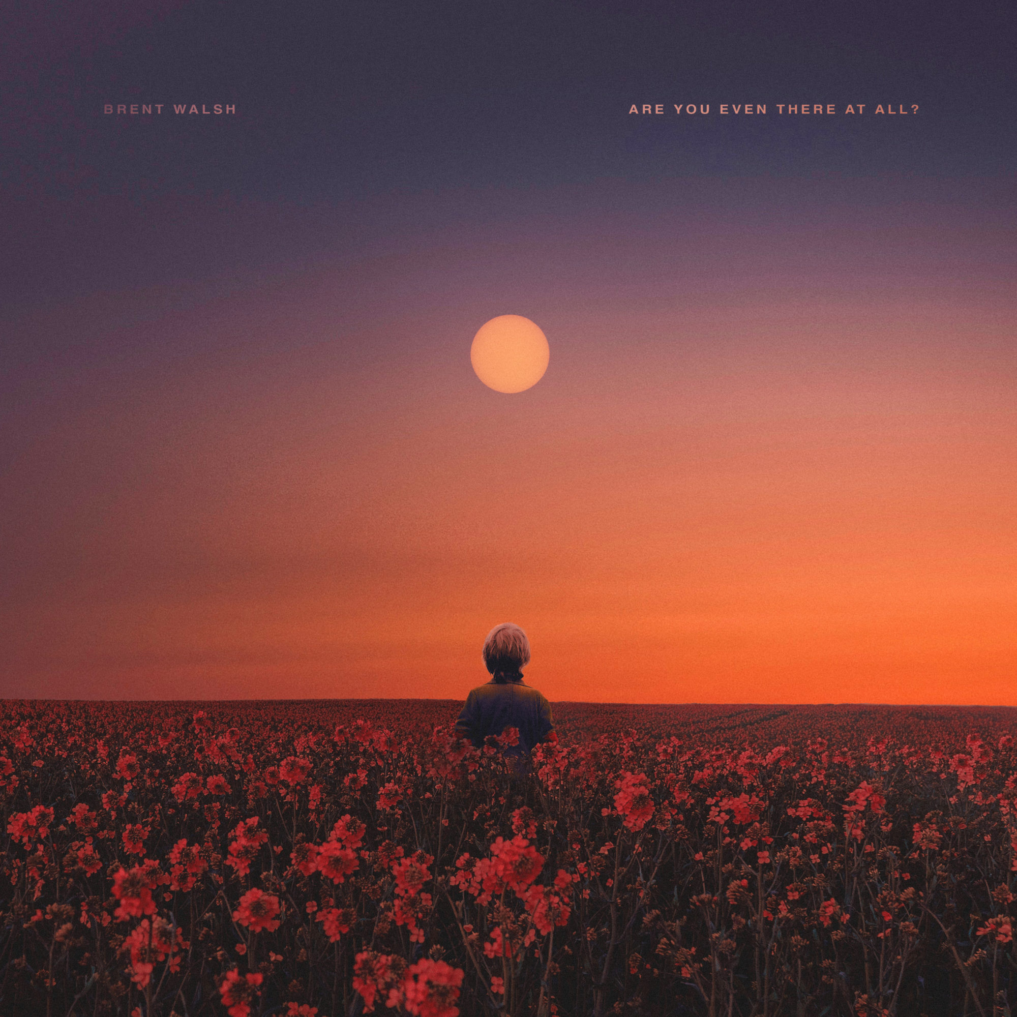 Brent Walsh dabbles in different genres on 'Are You Even There At All?'